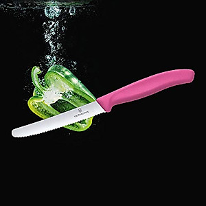 Victorinox Swiss Classic Round Tipped Stainless Steel Utility Knife with Pink Fibrox Handle, 4.5 Inch