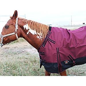 CHALLENGER 84" 1200D Turnout Rain Horse Sheet Light Winter Blanket Gusset 355