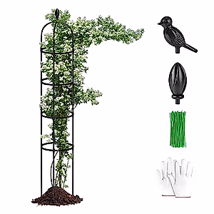 Garden Trellis for Climbing Plants Rustproof Coated Metal 6ft Tall Plant Support Trellis for Indoor & Outdoor Plants, Climbing Plant, Tomatoes, Vegetables, Fruits, Flowers, Pots, Vines