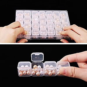 Segbeauty Gem Organizer, Clear Bead Container 28 Compartments with Secure Lids, Removable Tiny Jewelry Storage Box, Transparent Jewelry Organizer for Seeds Craft Making Accessories