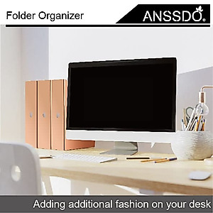 ANSSDO 12 Pack Rose Gold Magazine Holders, Premium Magazine File Holder for Desk, Foldable Cardboard File Folder Organizer as Book Bins Folder Holder for Office or School