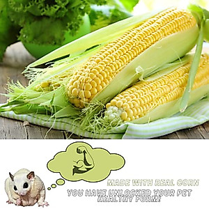 PETIVORE Premium Freeze Dried Corn for Sugar Glider and Small Exotic Pet - Made with Corn - Sugar Glider, Hamster, Squirrel, Chinchillas, Marmoset Happy Treats, Snacks and Food (17g)