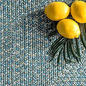 nuLOOM Wynn Braided Indoor/Outdoor Accent Rug, 3x5, Aqua