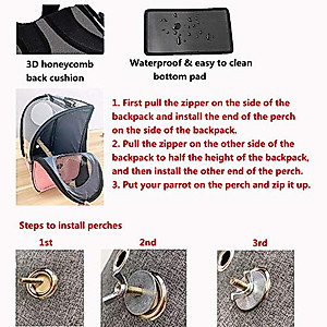 Bird Parrot Backpack Carrier Travel Bag with Perch Stand for Parakeets Cockatiels Conures Finches Lovebirds Small Medium Birds Cage Outside Airlines Airplane Plane Approved Car Lightweight Transparent
