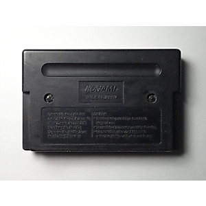 Teenage Mutant Ninja Turtles: Tournament Fighters (Renewed)