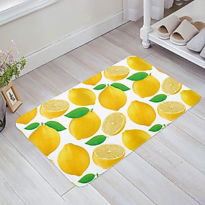 Front Door Mat Floor Mats for Home Decor, Summer Lemon Memory Foam Runner Entryway Area Rug Non-Slip Absorbent Doormat Washable Rug, 18x30Inch Welcome Mats for Bedroom Decor Living Room Decor