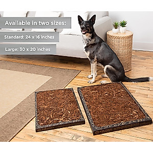 Bark Potty Disposable Training Pads, Multi Use Leak-Proof and Odor Control Puppy Pee Pads | 30 x 20 Standard Pee Pads for Dogs | Natural Bark Potty Pads for Dogs - Dog Housebreaking & Puppy Supplies