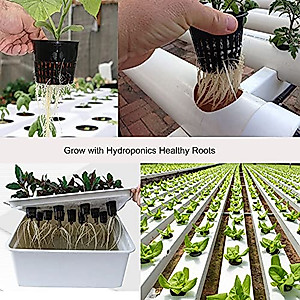 12 Pack 3 inch Net Cup Pots with 12 feet Hydroponic Self Watering Wick & 12 Plant Labels Aquaponics Mason Jar Bucket Insert Orchid kratky Vegetable Gardening Growing Netted Baskets Slotted Mesh