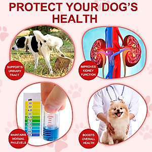 Cranberry for Dogs - 180 Cranberry Supplement Tablest for Dogs Supports Bladder Infection, Dog Incontinence Support, Bladder Stone and Dog UTI, Pet Supplement Treats Tablets for All Breeds Dogs & Ages