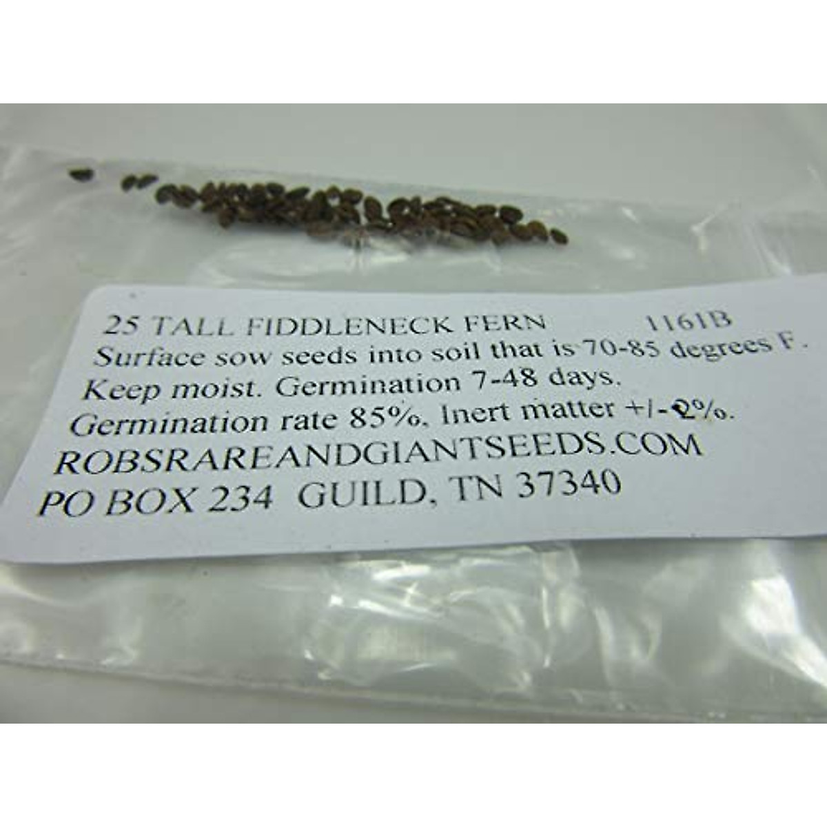 1161B-Tall Purple Fiddleneck (Phacelia tanacetifolia) Seeds by Robsrareandgiantseeds UPC0764425787952 Non-GMO,Organic,USA Grower,Bonsai,1161-B Package of 25 Seeds