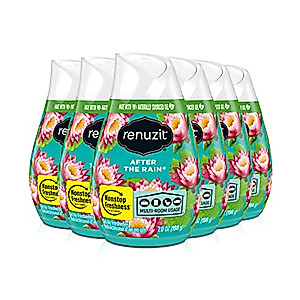 Renuzit Adjustable Air Freshener Gel, After the Rain, 7 Ounces (6 Count)