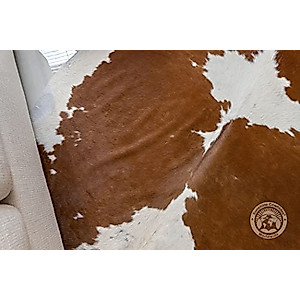 Genuine Brown and White Cowhide Rug XL 6 x 7-8 ft. 180 x 240 cm