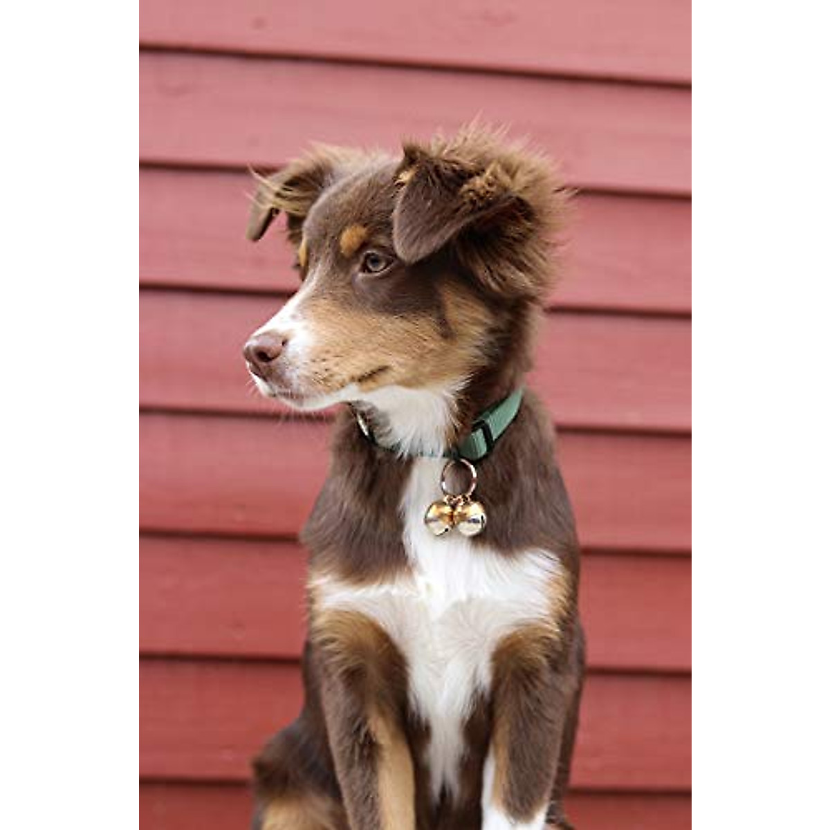 2 Extra Loud Cat & Dog Bells | Pet Tracker | Save Birds & Wildlife | Luxury Handmade Copper | Beau's Bells (Medium)