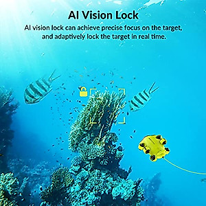 FIFISH V6 Underwater Drone with AI Vision Lock, QYSEA 360° Omnidirectional Movement Underwater ROV with 4K Camera, Portable Robot with VR Control, 166° UWA, App Control, Depth Hold (330ft Dive)
