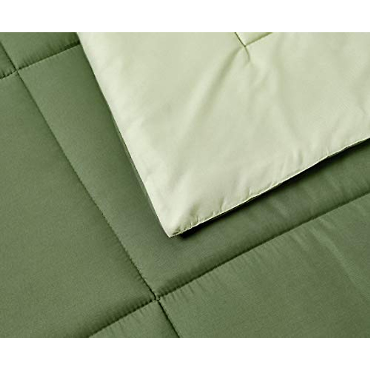 Blue Ridge Home Fashions Two-Tone Reversible Microfiber Down Alternative All Season Comforter-Hypoallergenic Polyester Fill, Twin, Olive/Sage