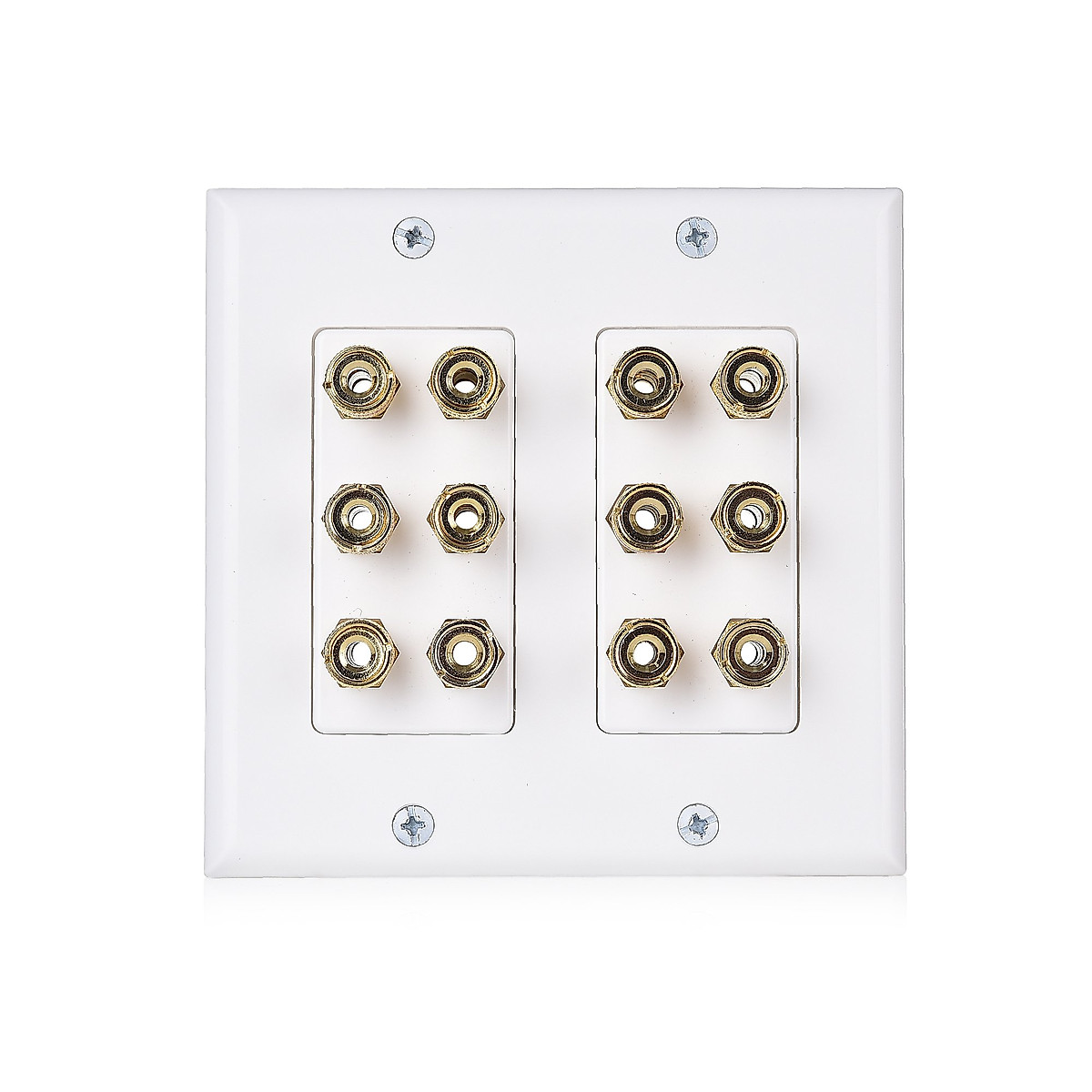 Cable Matters Double Gang Speaker Wire Wall Plate (Speaker Wall Plate, Banana Plug Wall Plate) for 6 Speakers in White