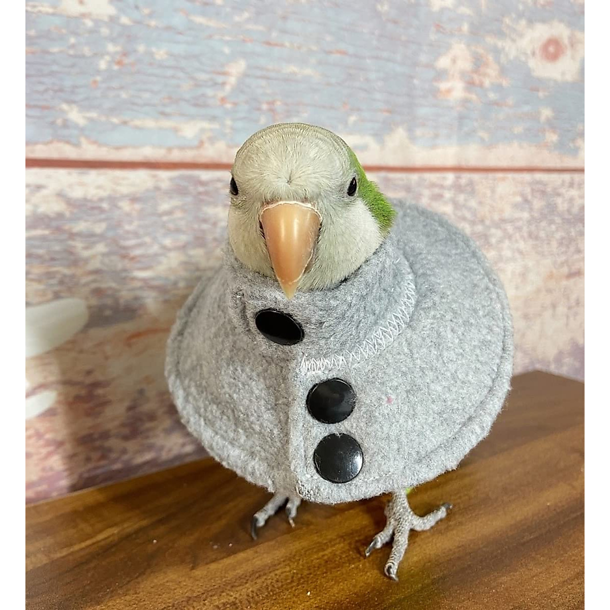 Adjustable Recovery Bird Cone Collar, Elizabeth Protective Collar, Safe and Practical Neck Sleeve for Preventing Bite and Licking Wound Healing with Snap Fastener Random Color (Large)