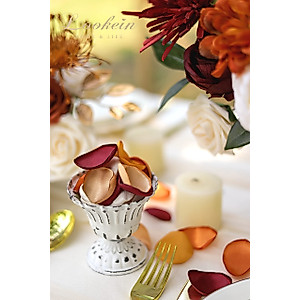 Lookein 300pcs Terracotta Rose Petals Satin Flower Petals for Wedding Flower Girl Basket Table Centerpieces Aisle Runner Party Confetti Bridal Shower Dinner Wedding Decoration