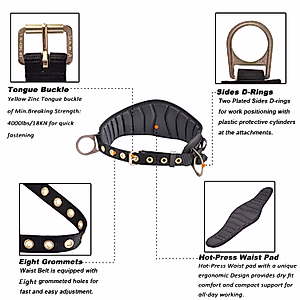WELKFORDER Tongue Buckle Body Belt With Hot-Pressing Waist Pad and 2 Side D-Rings Personal Protective Equipment Safety Harness | Waist Fitting Size 30'' to 45'' for Work Positioning, Restraint