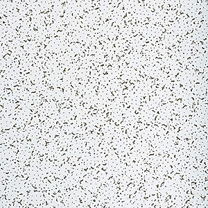 Armstrong Ceiling Tiles; 2x4 Ceiling Tiles - Acoustic Ceilings for Suspended Ceiling Grid; Drop Ceiling Tiles Direct from the Manufacturer; CORTEGA Item 703 – 10 pcs White Tegular