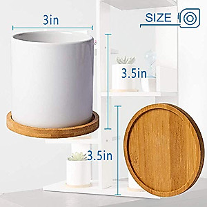 EFISPSS Succulent Plant Pots, 3.2 inch Ceramic Flower Pot with Bamboo Tray, Small Cactus Planter Pots with Drainage Holes, 8 Pack (Plants NOT Included) (White)