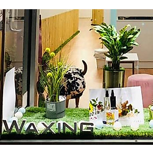 Multiple Sizes Decorative Free-Standing Alphabet Letters for Children Kids Bedroom Wedding Birthday Party Home Decor (H, 8inch / 20.32cm)