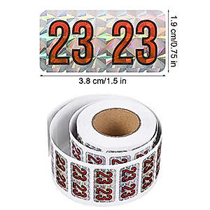 500pcs 2023 Stickers Labels, 2023 File Label Stickers 3/4" x 1-1/2" Rectangle Coded Colored Label Self Adhesive Stickers for Office Supplies Files Embellishment (Holographic Silver)