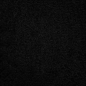 Koeckritz Outdoor Area Rug Carpet, Lightweight for Patios, Gazebos, Sheds, Decks, Garages, Trade Show Booths, Black, 9 x 12