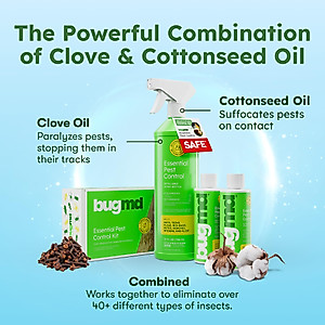 BugMD Ant Killer & Bug Spray - Roach and Cockroach Killer Indoor, Spider and Flea Spray for Home, Fly and Insect Defense, Natural, Safe with Essential Oils, Plant-Powered, Pest Control - Starter Kit