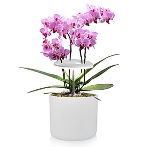 NOUKOW LED Plant Grow Lights for Orchid 10W Full Spectrum Plant Light with Auto ON & Off Timer 8/12/16H, 5 Dimmable Brightness, Height Adjustable Small Grow Lights for Indoor Plants