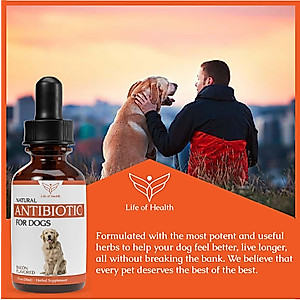 Natural Antibiotics for Dogs | Dog Antibiotics | Dog Ear Infection Treatment | Dog Itch Relief | Yeast Infection Treatment for Dogs | Dog Antibiotic | Pet Antibiotics | Antibiotic for Dogs | 1 oz