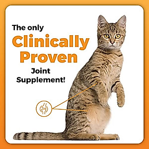 VETRISCIENCE Glycoflex 3 Maximum Strength Hip and Joint Supplement with Glucosamine for Cats - DMG, MSM & Green Lipped Mussel