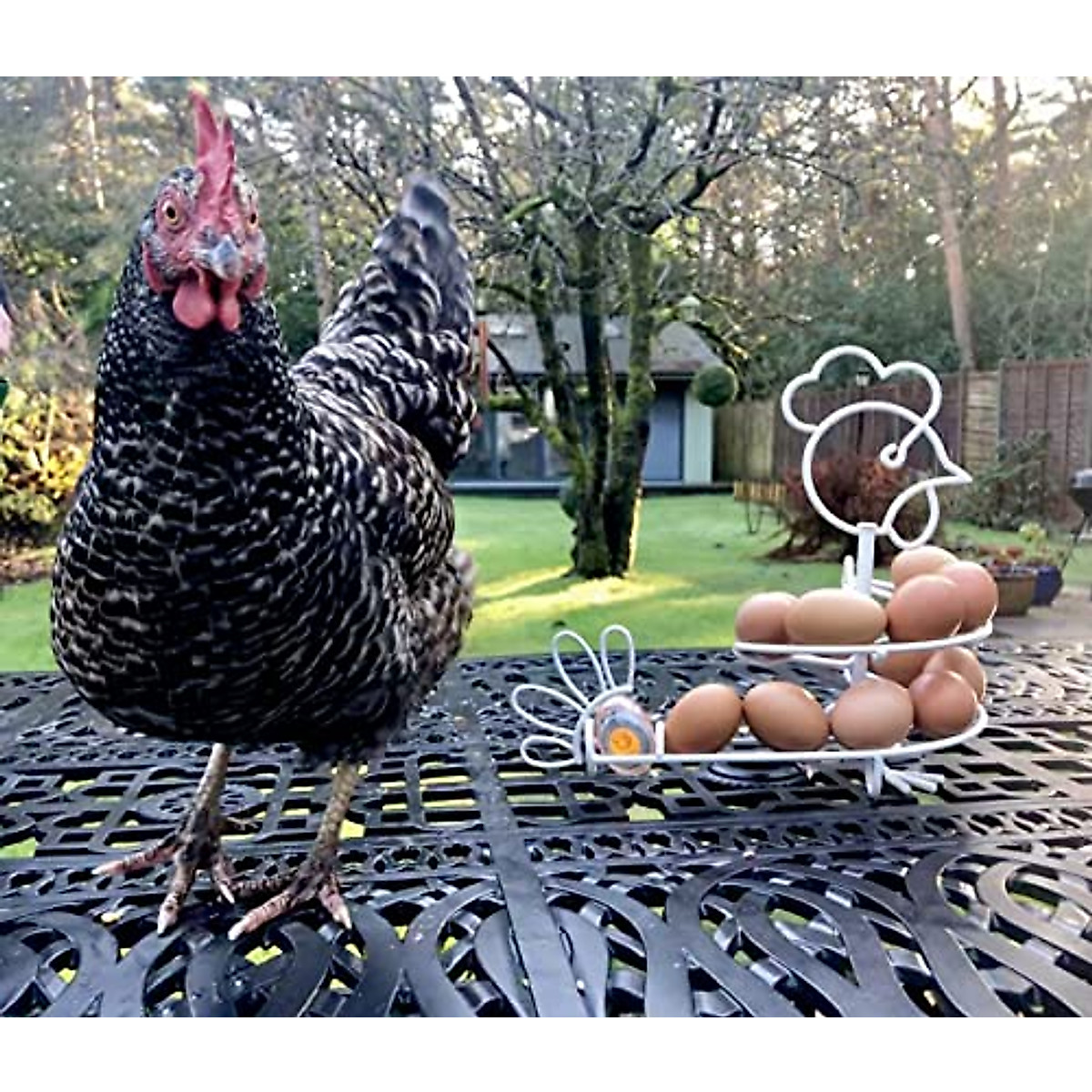 EggShuShu Gray Egg SKelter - Fresh Holder For Countertop ChicKen Stand BasKet Spiral Kitchen Wire RacK Eggs Farm with Timer