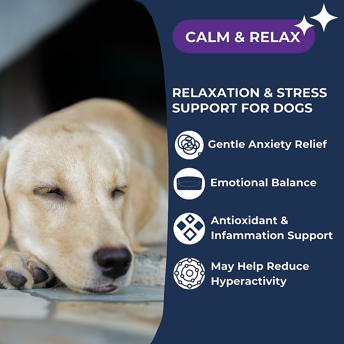 Dogletics Calm & Relax Soft Chew Supplements for Dogs - Reduce Stress & Anxiety, Behavioral Support, Promote Rest & Relaxation for Active Dogs