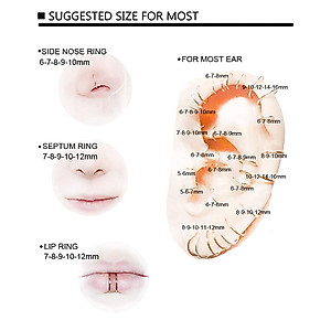 OreilleStar Nose Rings Septum Hoops Hypoallergenic 316L Surgical Steel Small Round Clicker Hinged Earrings Gold 16Gauge 6MM for Helix Cartilage Daith Snug Tragus Lobe