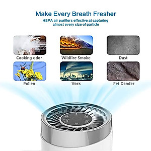 TREDY HEPA Filter Air Purifier for Home Large Room, H13 True HEPA Filter for Smoke, Dust, Hair, Pet Dander, Pollen, Ozone Free, Quiet, TD-1300