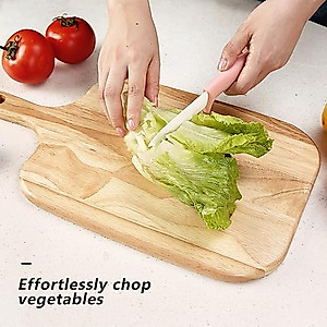 YUSOTAN Ceramic Paring Knife - 4-Inch with Sharp Ceramic Blade and Unique Hippopotamus Cover - Handle Fruit and Vegetables Kitchen Knife (Pink)