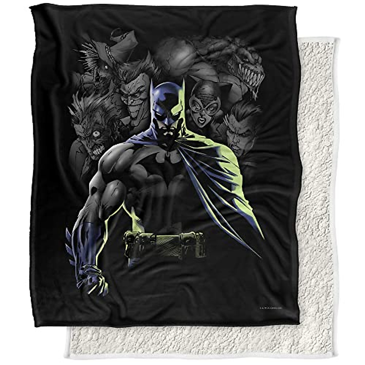 Batman Blanket, 50"x60", Villains Unleashed Silky Touch Sherpa Back Super Soft Throw Blanket