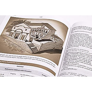 Biblia Reina Valera 1960 de Estudio para Mujeres, Tapa dura | RVR 1960 Women Study Bibl, Hardcover (Spanish Edition)