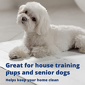 Medline Ultrasorbs AP Drypads, Super Absorbent Disposable Underpad, 30 x 36 inches, 10 Count (Pack of 4), Great for use as Bed pad Protector, Furniture Protection, Incontinence Care