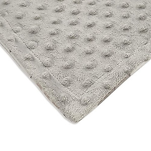 BORITAR Baby Blanket Soft Minky with Double Layer Dotted Backing, Lovely Animals Printed 30 x 40 Inch Receiving Blanket
