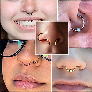 UBGICIG 9PCS Septum Jewelry 16G Septum Rings Daith Earrings Hoop Nose Rings Horseshoe Stainless Steel Septum Rings For Women Helix Tragus Lip Cartilage Earrings Silver Gold Black Rose Gold 8MM 10MM