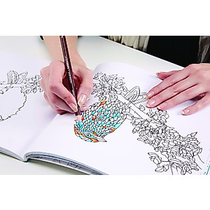 Adult Coloring Book and Coloursoft Colored Pencils: Color and Relax - Unwind in the Wilds by Derwent (2302339)