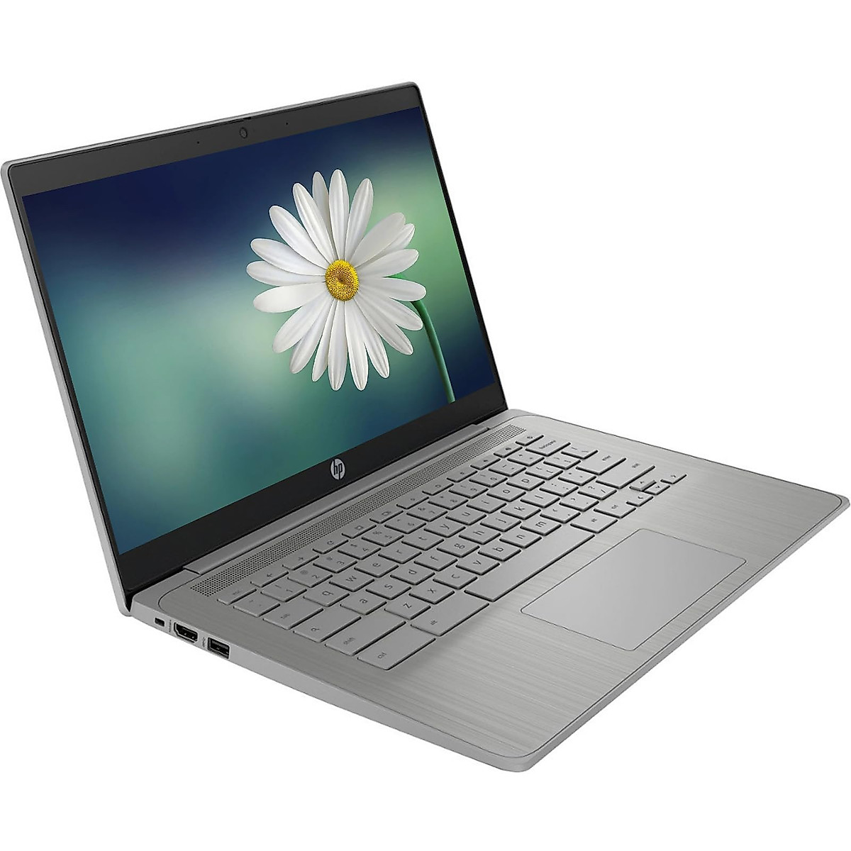 HP Chromebook for Adults Google Chromebook 14inch IPS Display - Student Laptop- Intel Celeron N4120 - USB C - 14 Hours Battery Life - Webcam - Wireless-AC (4GB RAM |64GB eMMC)