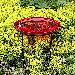 Achla Designs FB-14 Ring Wrought Iron Metal Plant birdbath Bowl Stand Flowerpot Holder, Black