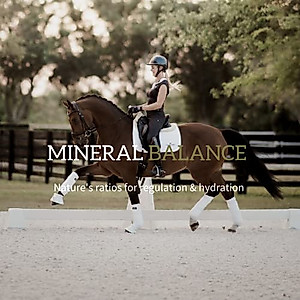 REDMOND Daily Red Garlic | Horse Minerals & Vitamins Supplement | Garlic for Horses