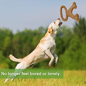 GGSTSL Dogs Toy Nylon Bone,Beef Flavor Dog Teething Chew Toys Bones,Indestructible Dog Chew Toys for Aggressive Chewers, Durable Dog Teething Chew pet Toys for Large,Middle,Small Dogs