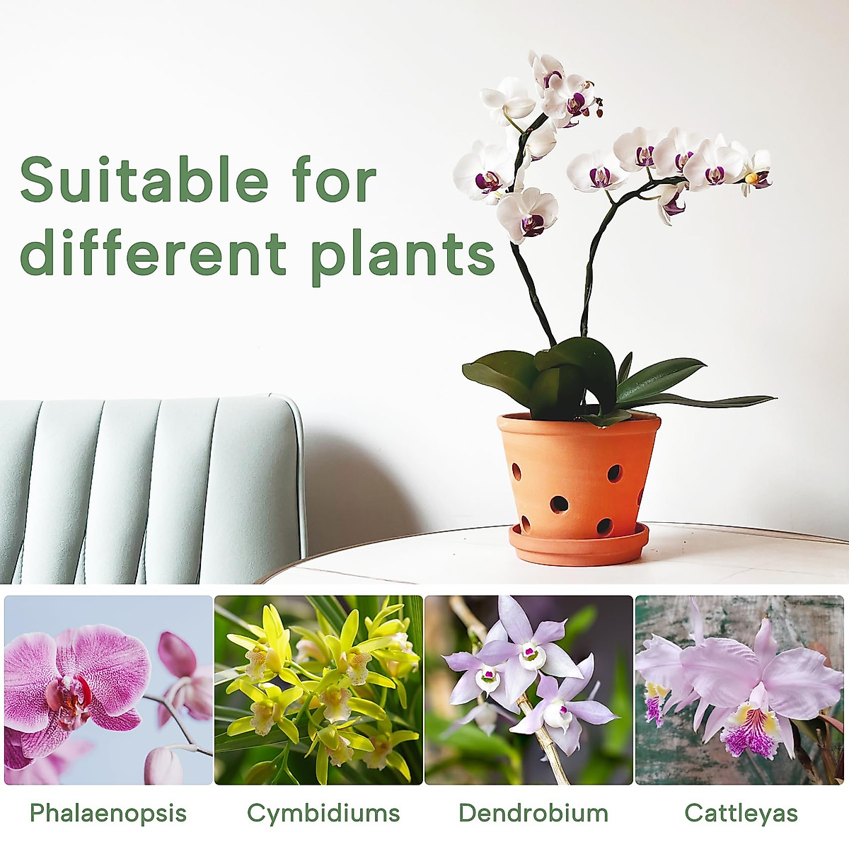 6 inch Terracotta Orchid Pots with Holes and Saucers, 3 Pack Clay Orchid Planter Pots for Repotting, Small Terra Cotta Orchid Pot, Plant Flower Pots for Orchid Indoor Outdoor Promotes Air Circulation