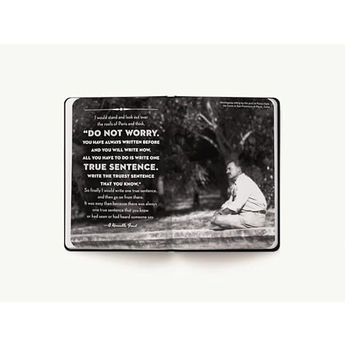 The Ernest Hemingway Signature Notebook: An Inspiring Notebook for Curious Minds (5) (The Signature Notebook Series)