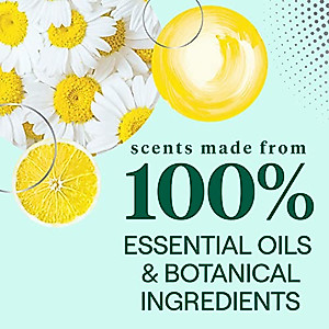 Seventh Generation Dish Soap Liquid Chamomile & Lemon Scent Pack of 6 Dishwashing Soap Dish Detergent Liquid Soap 19 oz